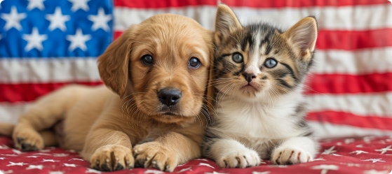 Über Uns - RONDO FOOD